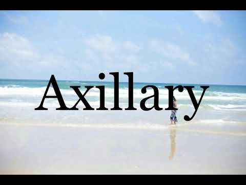 How To Pronounce Axillary🌈🌈🌈🌈🌈🌈Pronunciation Of Axillary