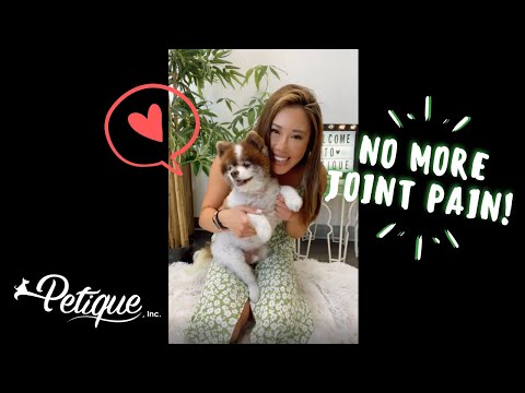 Best Orthopedic Pet Bed Mattress for Arthritis and Joint Pain