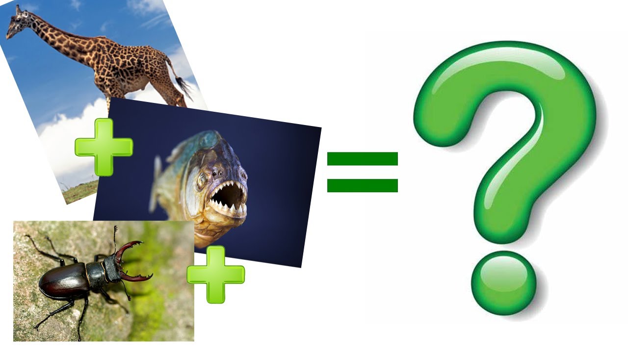 Unlock Your Creativity with Creature Design Lesson 2