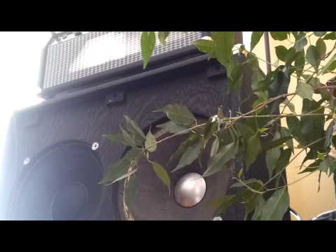 Vintage Altec 417B guitar amp speakers 1970's White/Grey | Reverb