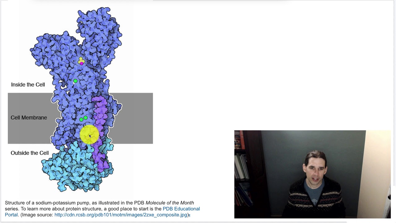 Pairwise Sequence Alignment (part 2)