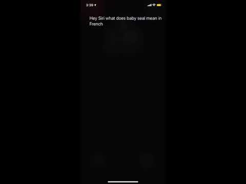 “Hey Siri, what does baby seal mean in French?"