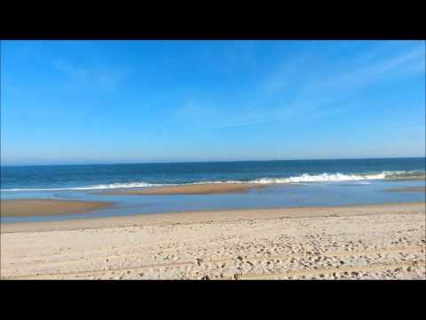 Get Your New Surf Tags Now - delaware-surf-fishing.com