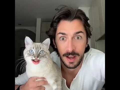 Spanish cat
