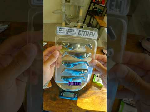 How to rig the WCZ Micro Citizen 🎣#floridafishing #pondfishing #workingclasszero #tampabayfishing