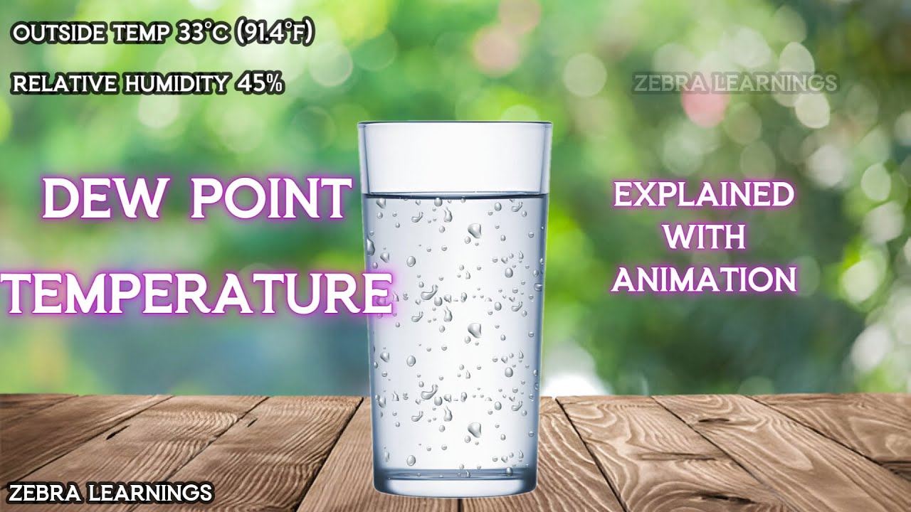 Understanding Dew Point Temperature: A Comprehensive Guide | Galaxy.ai