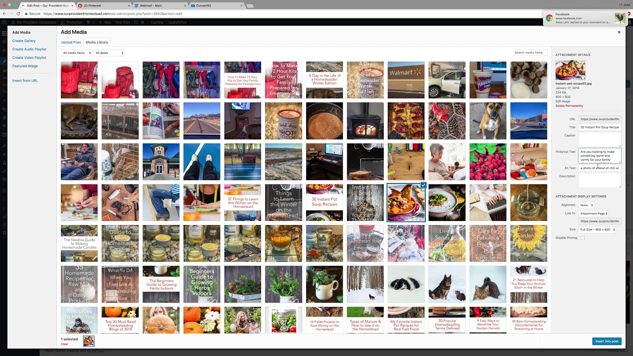 How Does the Tasty Pins WordPress PlugIn Work?