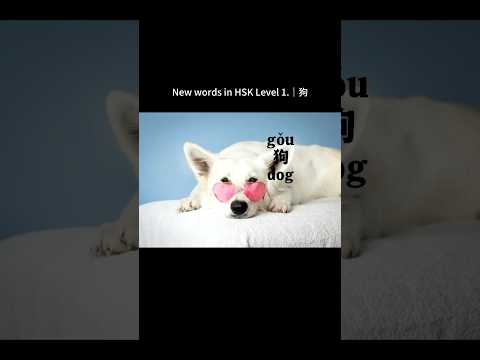 Remember a Chinese word in 10 seconds “狗” #speakchinese #chineselanguage #learnchinese #mandarin