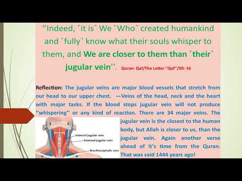 Jugular vein, He is closer