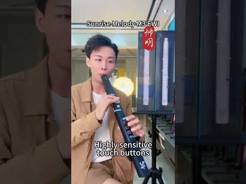 Sunrise Melody M3 EWI electronic wind instrument sound display, one of the 66 sounds