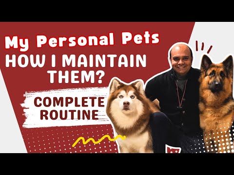 My personal pets - How I maintain them? - By Baadal Bhandaari