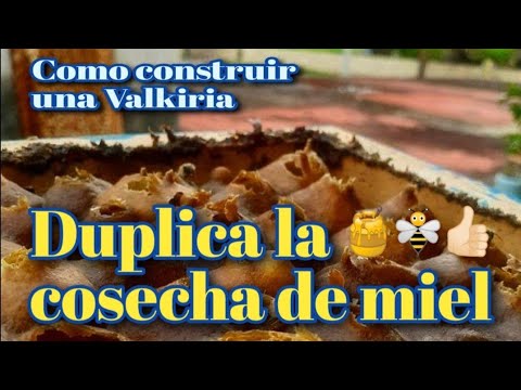 Video 058 Cómo cosechar MAYOR CANTIDAD DE MIEL con ésta mejora en tus ...