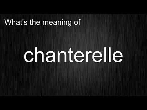 What's the meaning of "chanterelle", How to pronounce chanterelle?