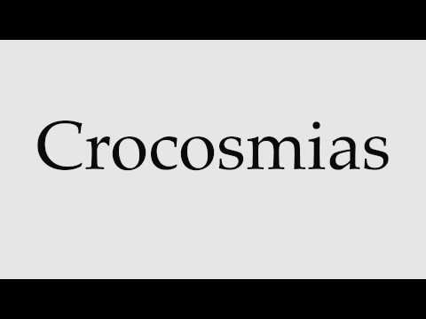 How to Pronounce Crocosmias