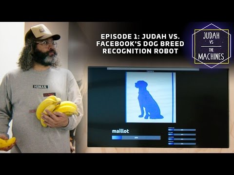 Judah vs. Facebook's dog breed recognition robot