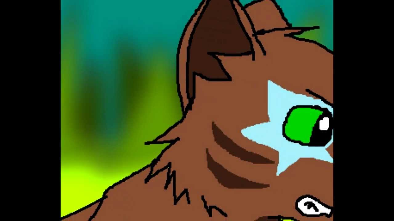 Graystripe AMV- The River Preview?