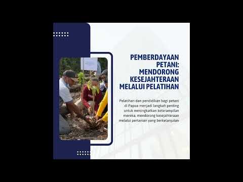 Sektor pertanian untuk kemajuan Papua. #PerekonomianPapua #PapuaSejahtera #PapuaEkonomi #PapuaMaju