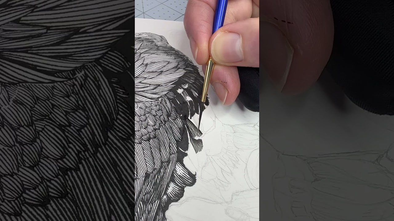 Dip pen and ink process drawing a raven bird