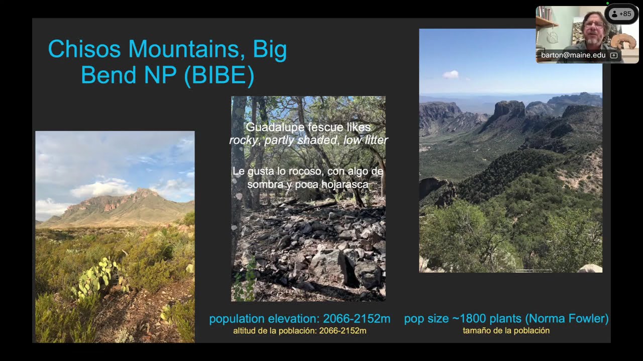 Wildlife Conservation Webinar Series | Fescue Rescue: a Project to Recover Guadalupe Fescue