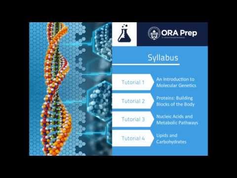 An Introduction to Genetics: Online Course