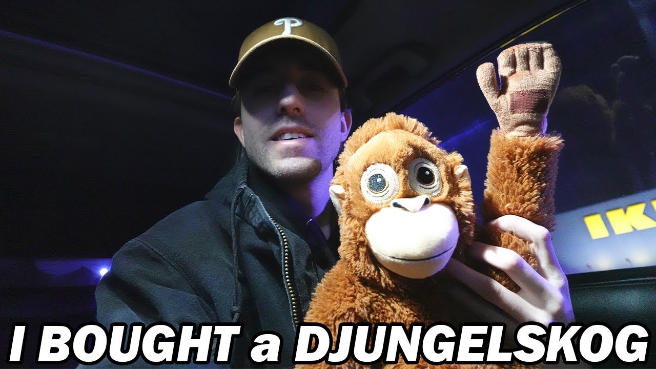 I BOUGHT a DJUNGELSKOG (Ikea Monkey)
