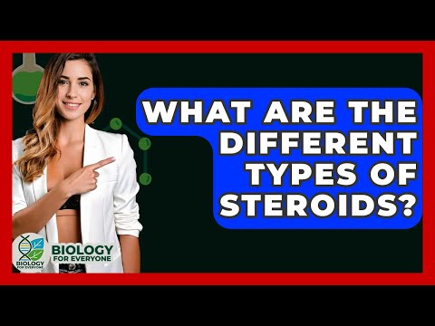 What Are The Different Types Of Steroids? - Biology For Everyone