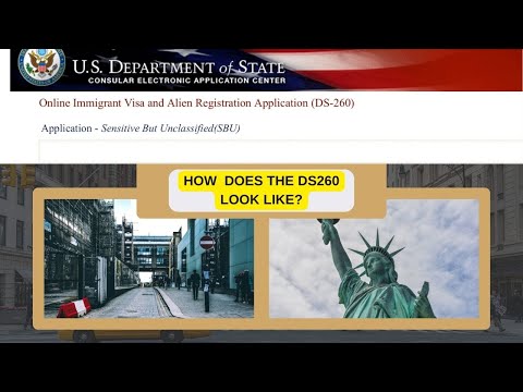 DS-260 Form Overview: What It Looks Like and What’s Inside #ds260 #dv2026 #dvlottery #immigration