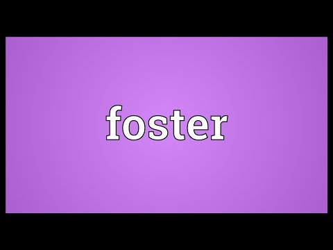 Foster Meaning
