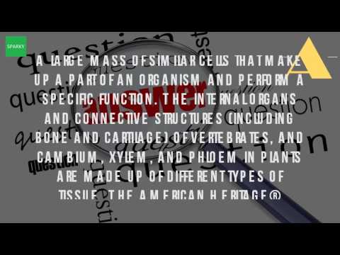 What Is The Definition Of A Tissue In Science?