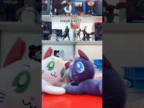 Rating ModCons Plushies. Feast your Eyes with Lots of Anime Plushies and More Fun Items.