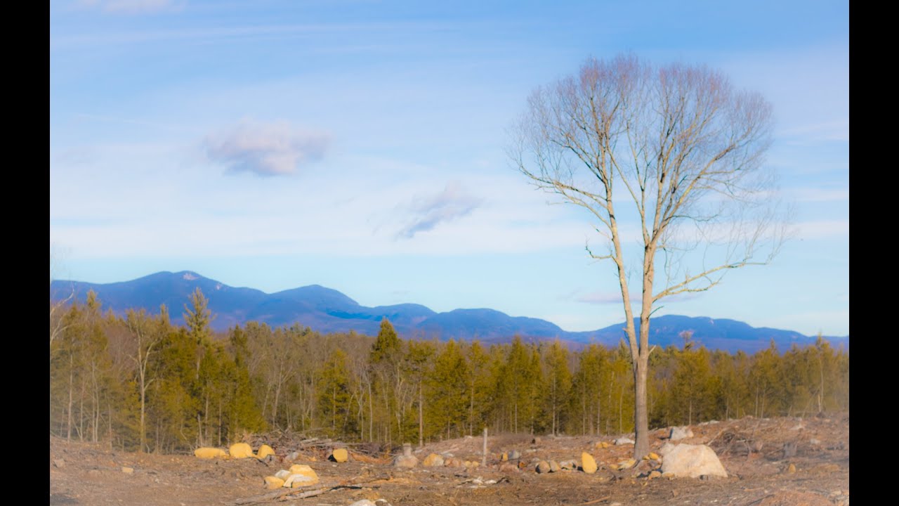 Realty Virtual Walk-through Videos! www.HomeGoVideo.com