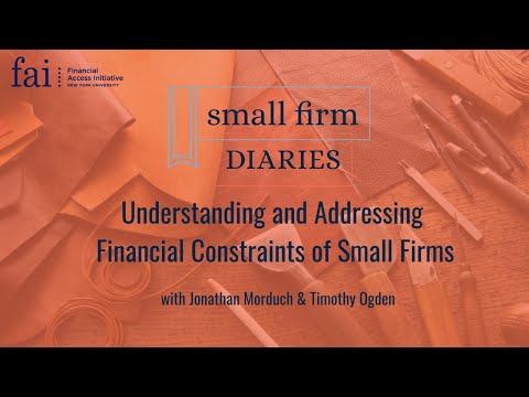 The Small Firm Diaries: Understanding and Addressing Financial Constraints of Small Firms