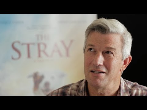 Stray, The (2017) by Mitch Davis | AceShowbiz