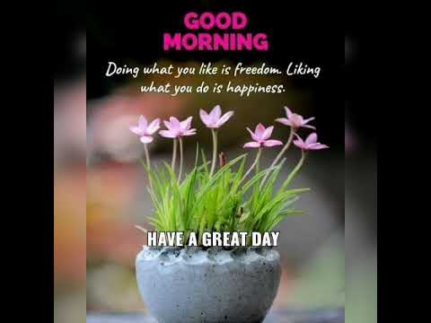 Good Morning Wishes.