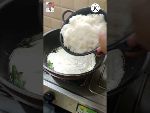 Curd Rice is My Childrens Favourite lunchbox Recipe / Try this world's easiest recipe