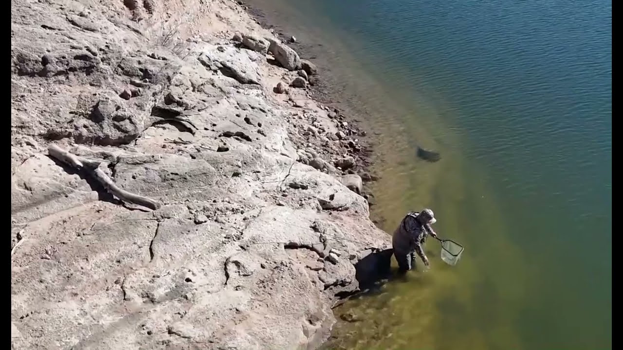 See clearly. Stand out brighter.🔥 🎥 footage by @filemonoutdooradven7957