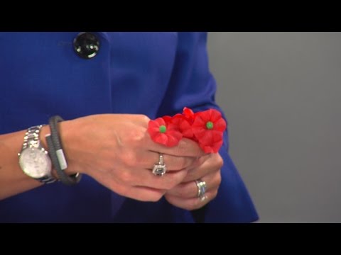 Veterans of Foreign Wars and Ladies Auxiliary to distribute ‘Buddy Poppies’