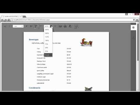 DevExpress Reports: HTML5 Document Viewer