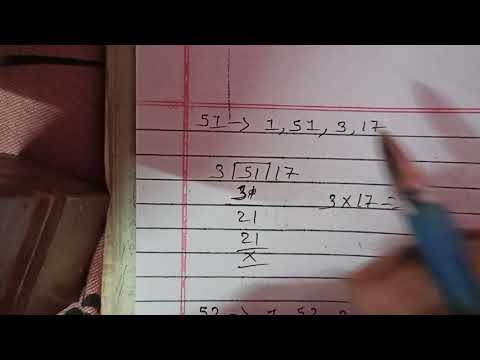 factors of 51