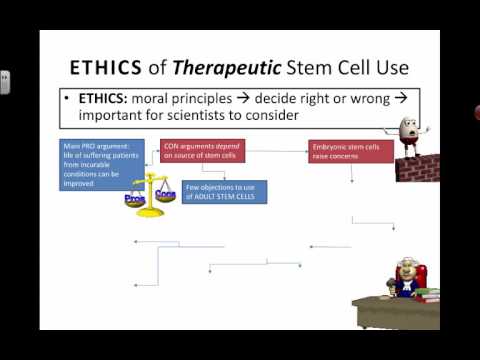 Ethics of Therapeutic Stem Cell Uses (2016) IB Biology