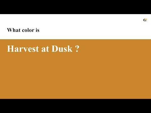 Harvest at Dusk color #cb862c hex color - Yellow color - Cool color cb862c