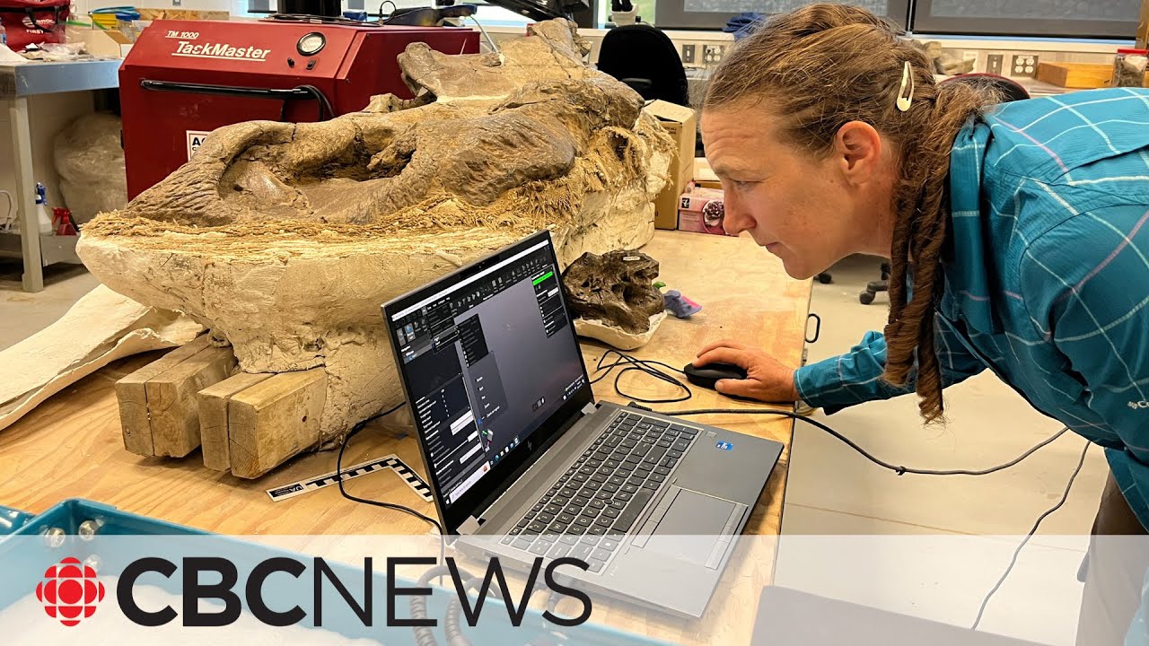 Paleontologists in Alberta add 3D scanner to their toolbox