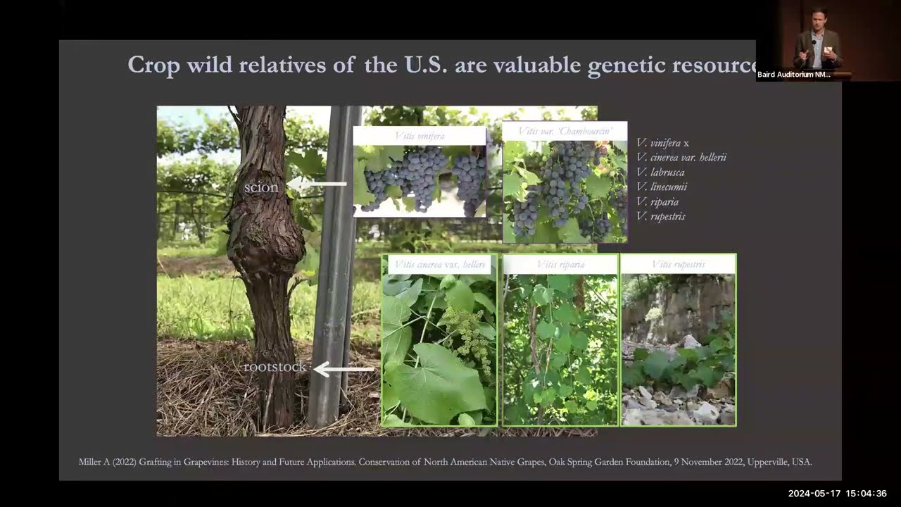 SBS-2024: Distributions, conservation assessments, and conservation action for crop wild relatives