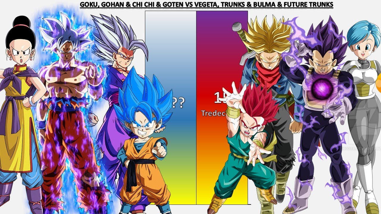 Goku & Chi Chi & Gohan & Goten VS Vegeta & Bulma & Future Trunks & Trunks POWER LEVELS