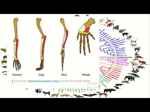 What is Evolutionary Biology?