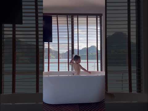 After going on 5 different Halong Bay cruises, this is the BEST π₯ #shorts #vietnam #travel #luxury