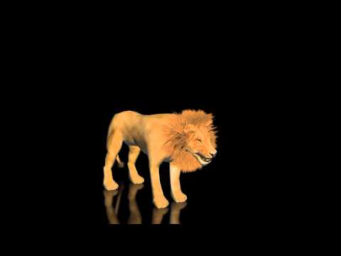 PROTOFACTOR - LIONS - iClone/Actor - Reallusion Content Store