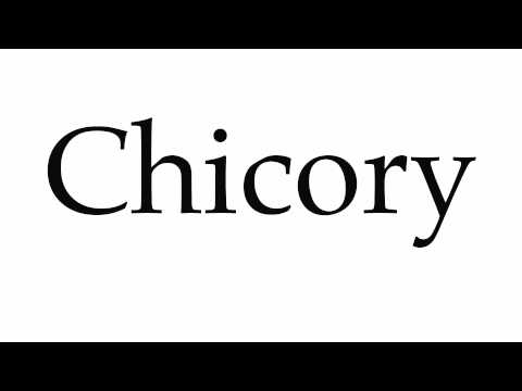 How to Pronounce Chicory
