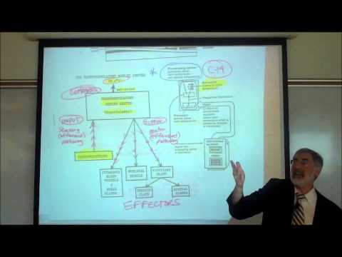 TEMPERATURE REGULATION in the HUMAN BODY by Professor Fink