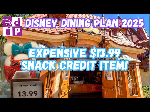 $13.99 Snack Credit Eligible Item!! | Disney Dining Plan 2025